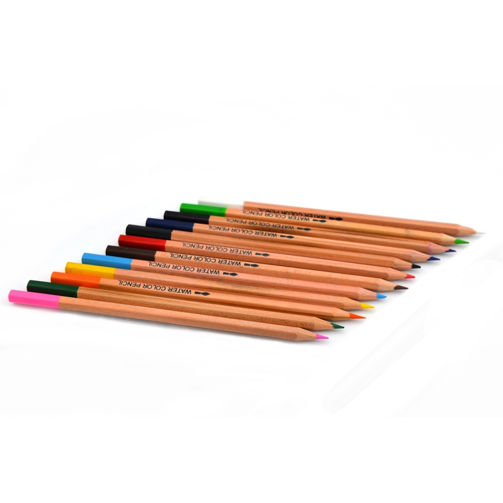 Crayons de couleur d'artiste - Ensemble de qualité professionnelle 12 ...